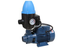 Pumps | Lozdan & Clark